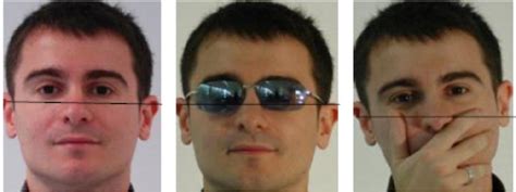 Figure 4 1 From Partially Occluded Face Image Recognition Semantic Scholar