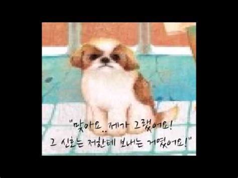2개같은 날은 없다 YouTube