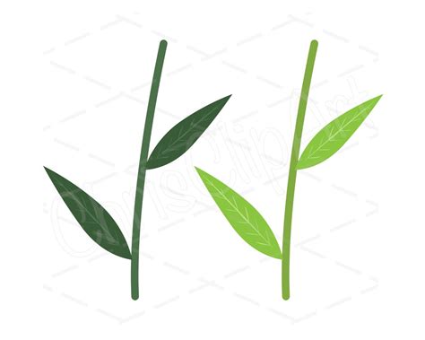 Flower Stem Svg Png  Flower Stem Sublimation Bundle Of 2 Flower Stem Clipart Flower
