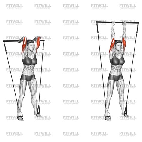 Bar Band Overhead Triceps Extension Exercise Guide Techniques Benefits How To Muscles Bar Band Overhead Triceps Extension Exercise Guide Techniques Benefits How To Muscles