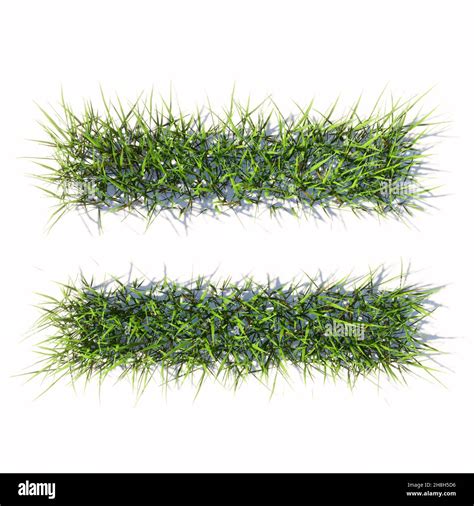 Concept Or Conceptual Green Summer Lawn Grass Symbol Isolated White