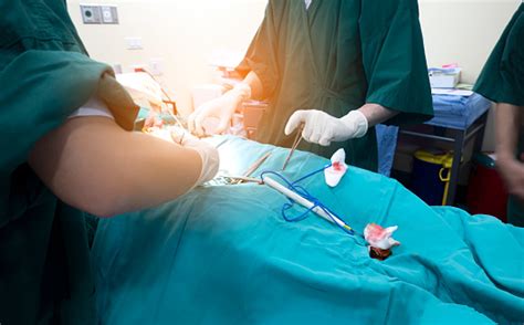 현대 수술실에서 외과 수술을 수행하는 의료 팀을 운영하는 수술 팀의 중간 부분 또는 수술 장비와 수술실에서 외과 의사의 그룹