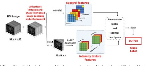 figure 1 from hyperspectral image classification using extended local