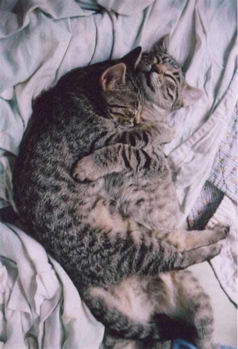 Sadoclock Tumblr Com