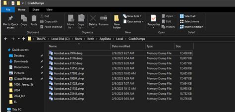 Acrobat Pro Crashing Within ~5 Seconsds Of Openin Adobe Community 15142095