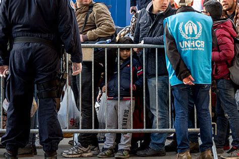 Unhcr 이미지 스톡 사진 및 일러스트 Istock