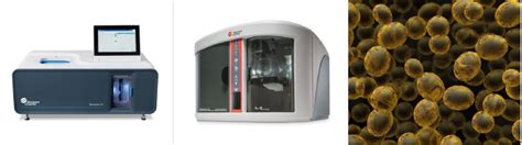 Monitoring Yeast Cultures With The Biolector And Multisizer 4e Instruments