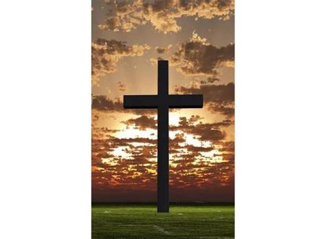 Carol J Morrell Obituary 2025 Watertown Ma Devito Funeral Home