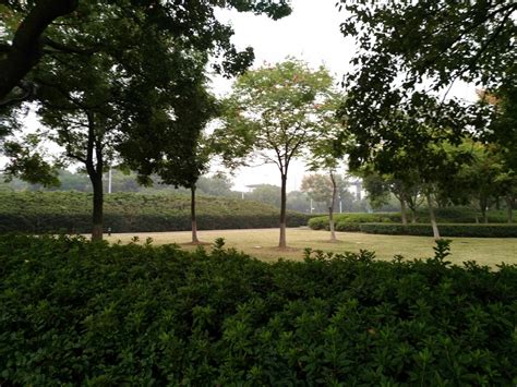 2024福康宁公园游玩攻略 但可以说是非常的宁静与休闲 去哪儿攻略