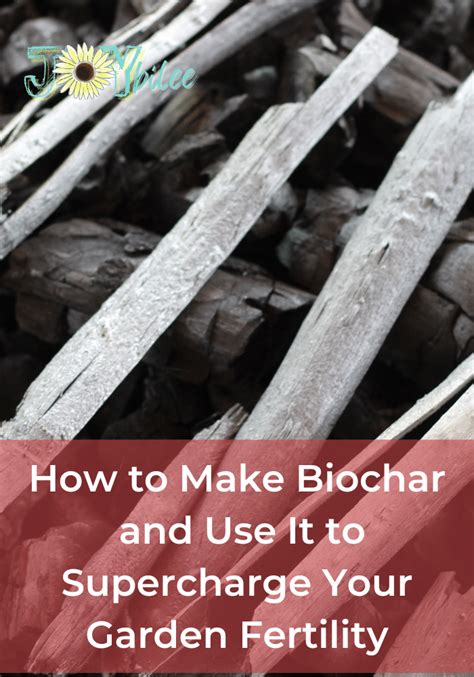 How To Make Biochar And Use It To Supercharge Your Soil Fertility