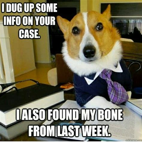 Haha Business Meme Telegraph
