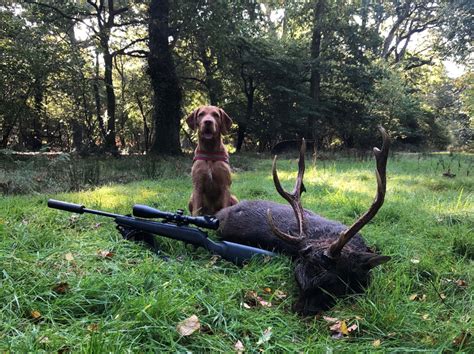 Deer Stalking Development LANTRA Training Courses TUPPCO
