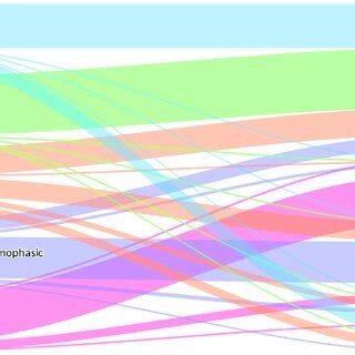 Sankey Diagram Showing The Distribution Of The Most Important European