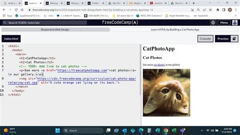 Missing Check Your Code For Building Cat Photo App FreeCodeCamp