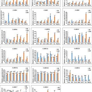 Tissue Specific Expression Patterns Of CcRRs In Chinese Hickory
