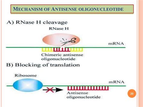 role of target identification and target validation in drug discovery