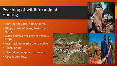 Biodiversity And Its Conservation Techniques Ppt