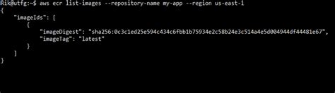 Aws Cli For Elastic Container Registry Geeksforgeeks