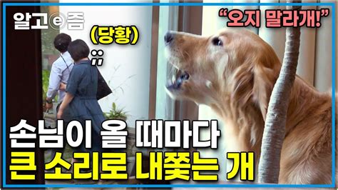 입구에서 돌아간 손님만 수십 명이에요 손님만 보면 큰 소리로 왈왈 짖는 탄이 때문에 고민인 보호자 과연 탄이의 진짜