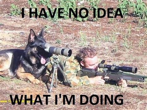 “i Have No Idea What Im Doing” Meme 20 Pics