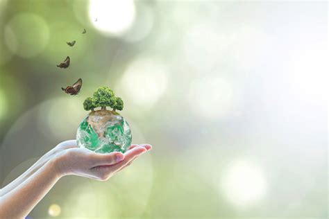 저장 환경 자연 보호 및 Csr 개념에 대 한 자원 봉사자의 손으로 그린 글로브와 식 목 일 나무 심기 Nasa에서 제공 하는
