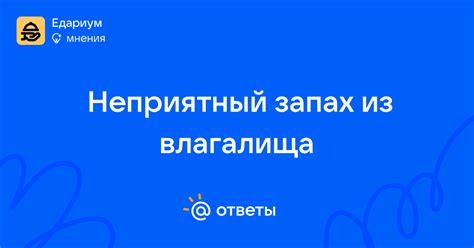 Неприятный запах из влагалища Ответы Mail