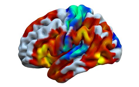 Projects The Episodic Memory Group University Of Sussex