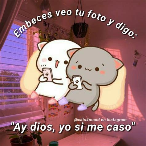 Me Caso Frases Para Dedicar Memes De Amor Chistosos Cosas De Novio