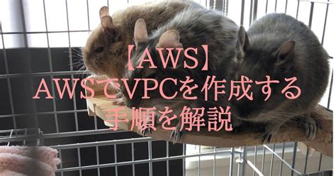 【aws】awsでvpcを作成する手順を解説！vpcの基本であるvlanについても紹介します hachi system