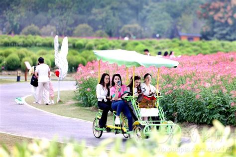 浙江杭州：鲜花盛开游客来 人民图片网