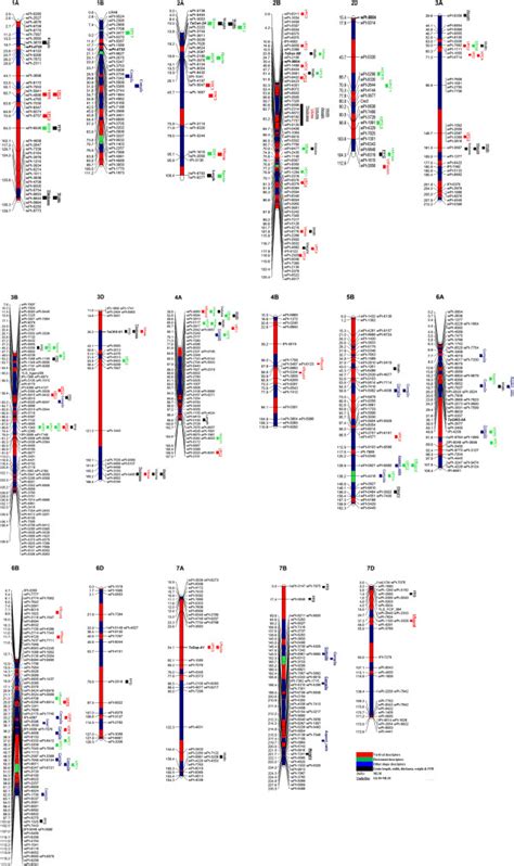 Dart Consensus Linkage Map Detering Et Al 39 Of Chromosomes