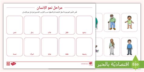 نشاط ترتيب مراحل نمو الإنسان