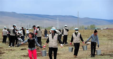 몽골 사막에 나무를 심어요