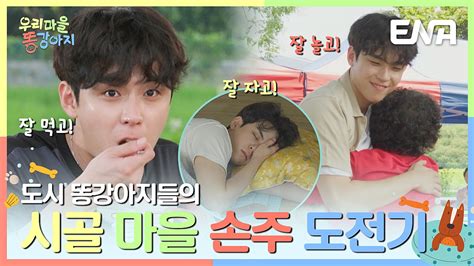 1차 티저 평화로운 시골 마을에 도시 똥강아지들이 떴다 3월 1일 첫 방송🐶 우리 마을 네이버 Tv