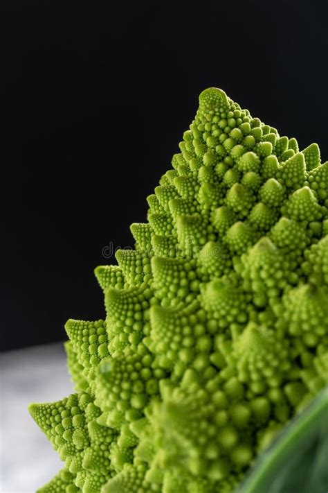 Romanesco Broccoli Close Up The Fractal Vegetable Is Known For It S
