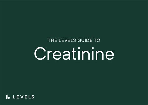 Guide To Creatinine Levels Levels