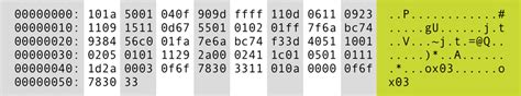 Hexadecimal Output Xxd Of Encoding Figure 10 Input Data With Capn