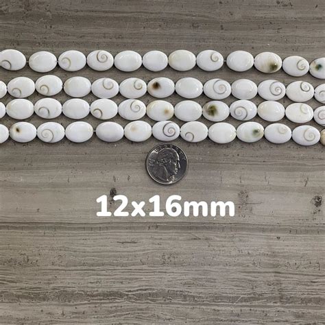 Shiva Shell Pacific Cats Eye Shell Operculum Gastropod Oval The Perfect Gem Shiva Shell Pacific Cats Eye Shell Operculum Gastropod Oval The Perfect Gem