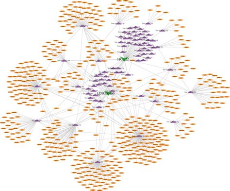 Construction Of Key Lncrna Cerna Network Download Scientific Diagram