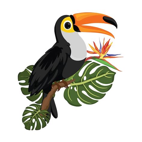 Premium Vector Toucan A Nice Bard Poster