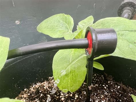 Drip Irrigation For Potted Plants 🪴 💦 Elevate Your Plant Care Routine