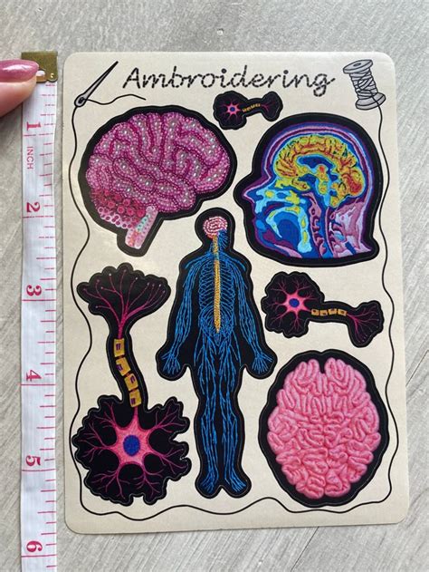 Neurological Anatomical A6 Sticker Sheet Embroidery Neuron Brain