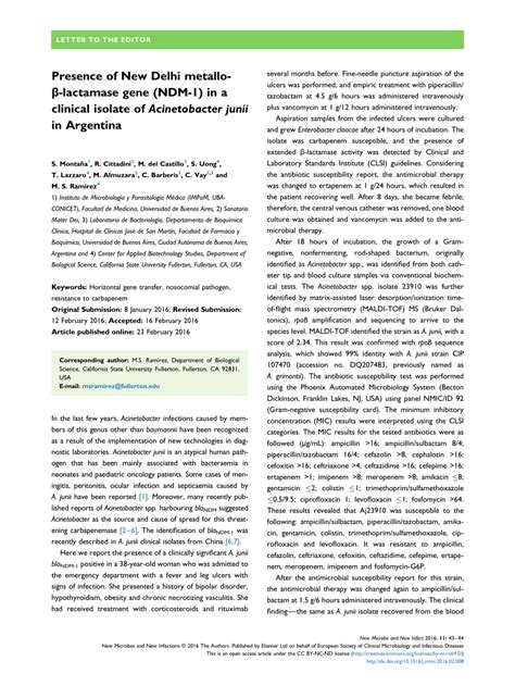 Pdf First Case Of Bacteremia Due To Acinetobacter Schindleri
