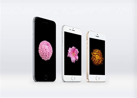 Ios 8 Style Flowers Wallpapers For Iphone