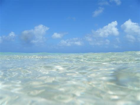 「どうする蓄電池」ブログ 太陽光発電の卒fitから蓄電池設置までの体験談を分かりやすくお届けします！