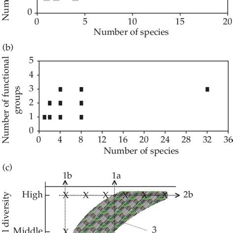 Pdf Species Diversity Functional Diversity And Ecosystem Functioning
