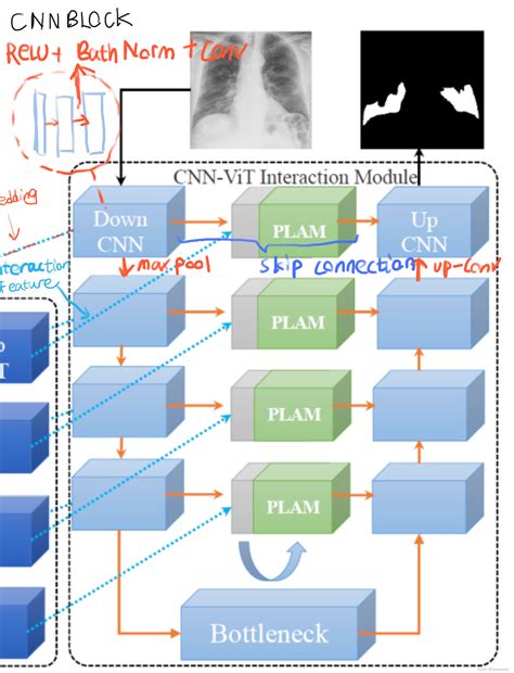 Lvit：语言与视觉transformer在医学图像分割 Csdn博客