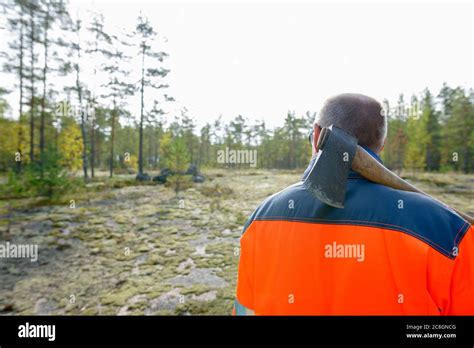 Rear View Of Mature Man Holding Ax In The Forest Stock Photo Alamy