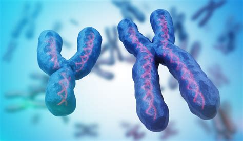 37 Facts About Stop Codon