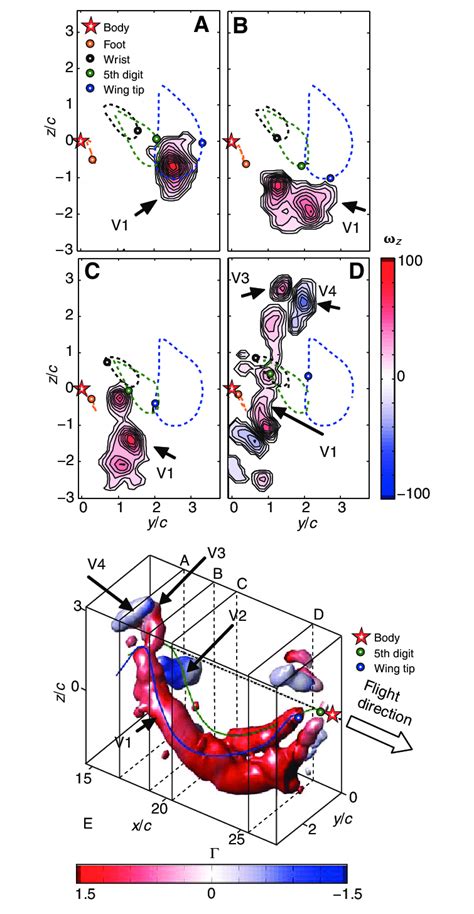 Upper Image Transverse 2 D Vorticity Fields At Four Positions Over The